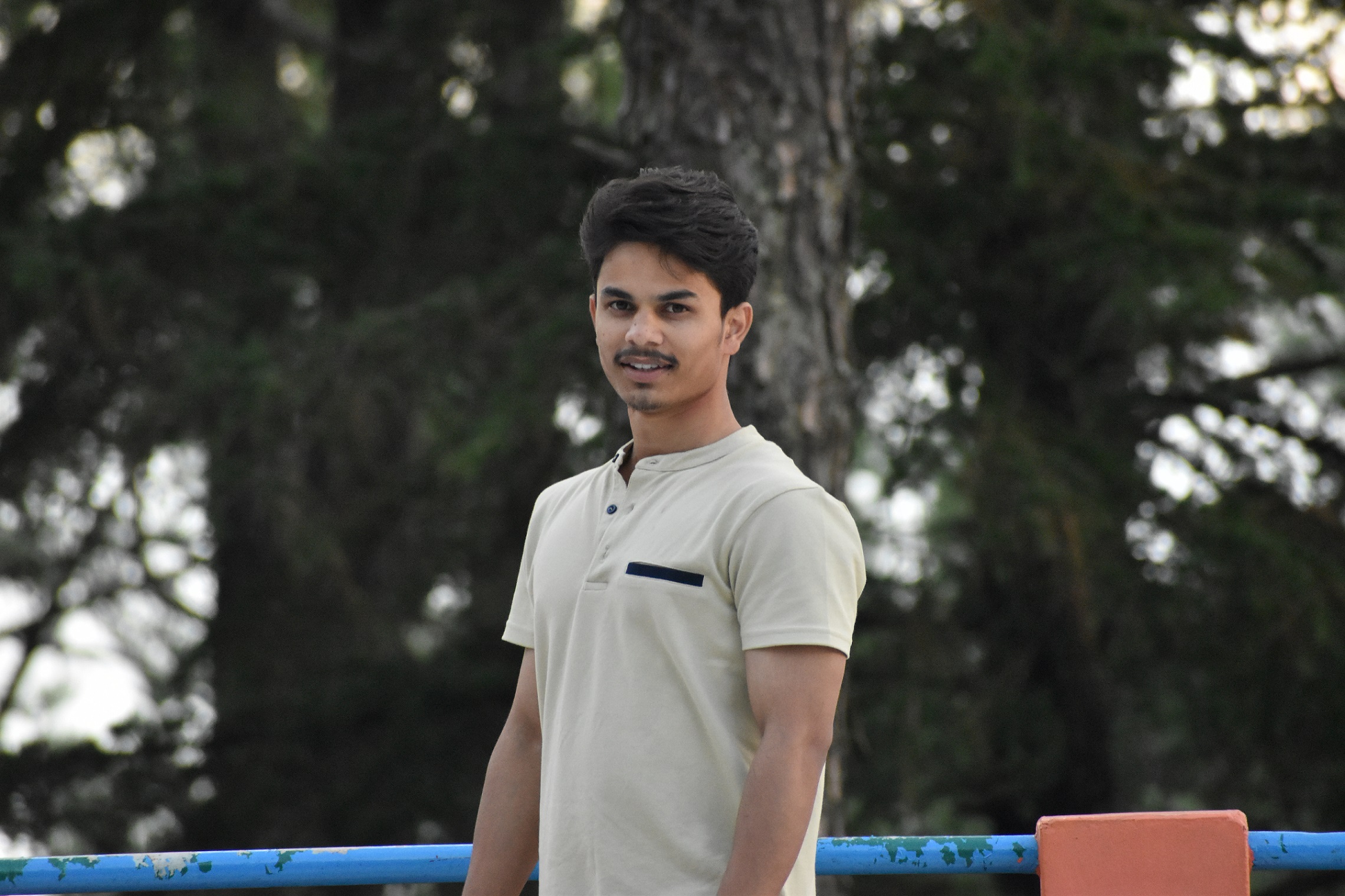 Nitin Chandra Arya - Portfolio